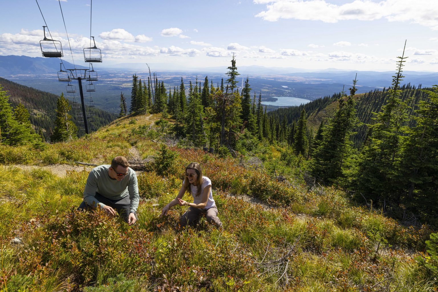 Summer is huckleberry season! 7 tips for picking hucks at Whitefish ...