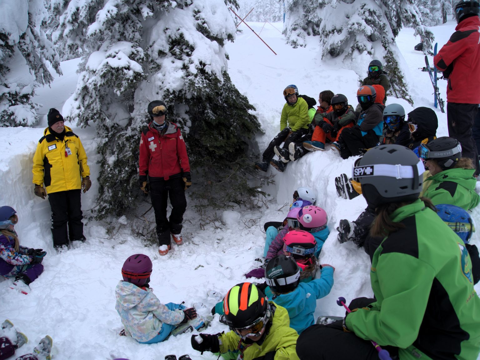 Watch out for that tree well! How to stay safe when skiing the trees ...